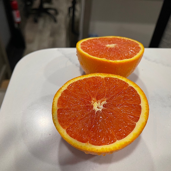 Red Navel Oranges from Florida – Blackberry Homestead