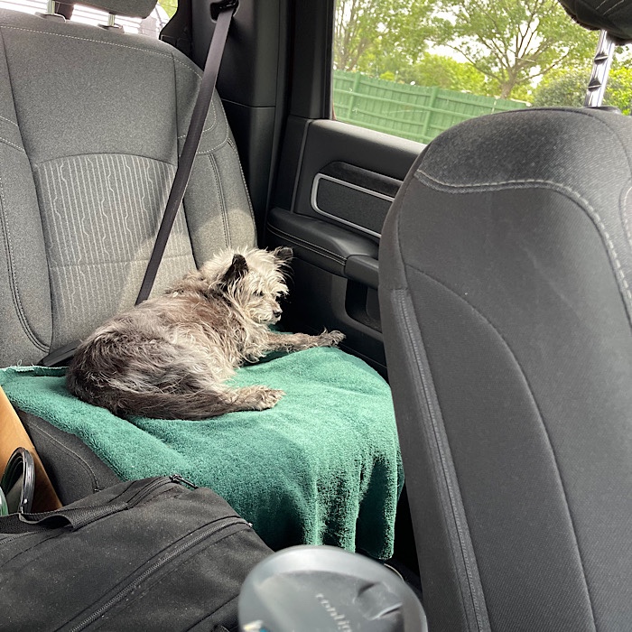 Poor Little Nox, Scared of Thunder – Retirement RV Dream