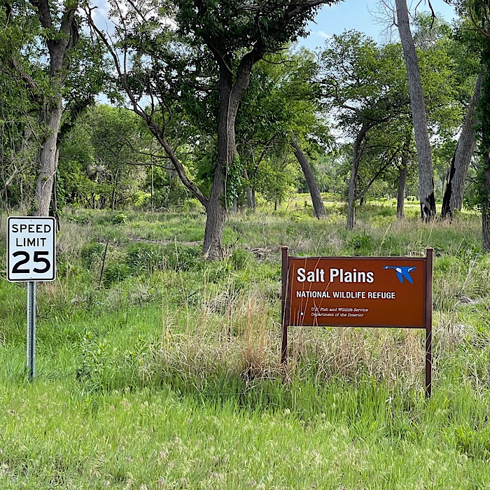 Checking Out the Salt Plains National Wildlife Refuge in Oklahoma ...