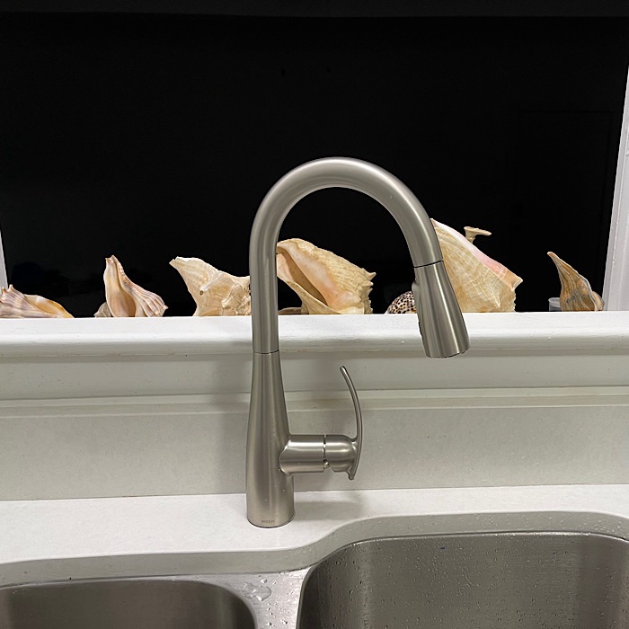 New Moen Kitchen Faucet Installed – Blackberry Homestead