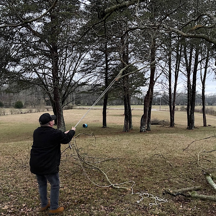 Branch Sawing and Pulling Down a Branch – Blackberry Homestead